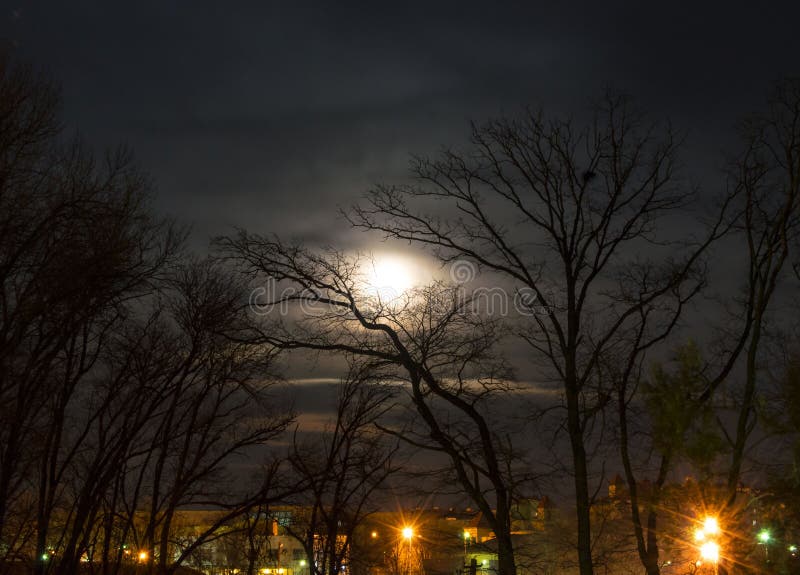 Moon in the trees stock image. Image of autumn, landscape - 53357057