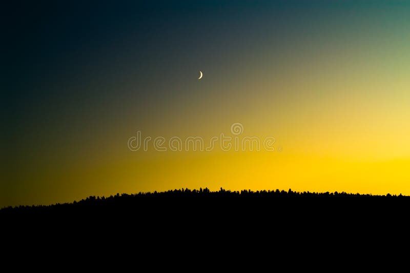 Moon rise over forest stock image. Image of moon, night - 58660727