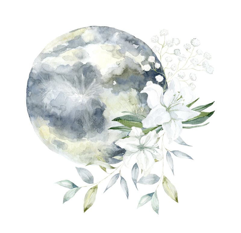 Moon with White Lily Flowers. Watercolor Stock Illustration ...
