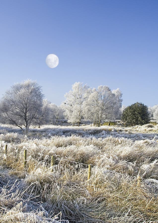 Moon and Wintry Countryside Stock Image - Image of tranquil ...