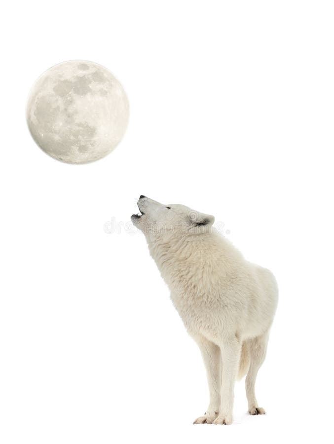 117 Logo Wolf Moon Stock Photos - Free & Royalty-Free Stock Photos from ...