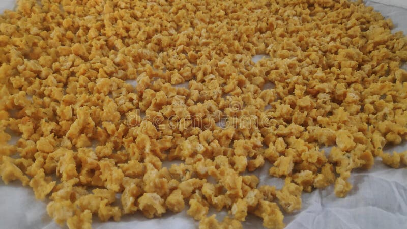 Moong dal vadi stock photo. Image of crop, plant, produce - 278810160