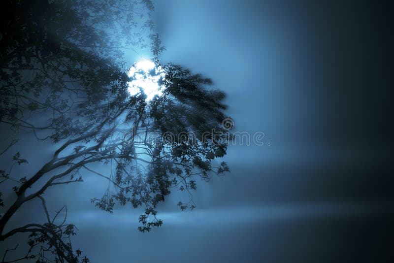 Moonlight stock photo. Image of time, scenic, fluffy - 14381662