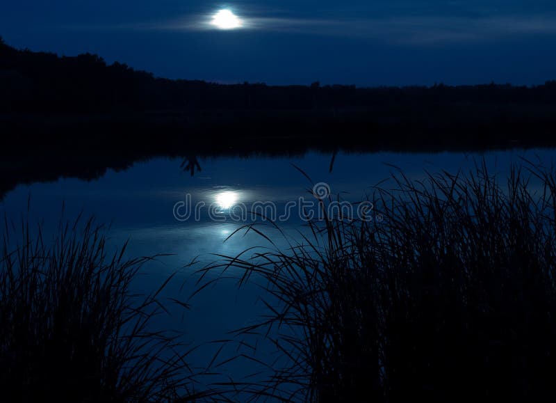 Moonlight stock image. Image of spike, moonligth, shine - 15333649