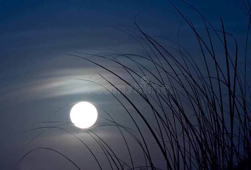 Moonlight stock image. Image of pattern, moon, cold, beautiful - 25072477