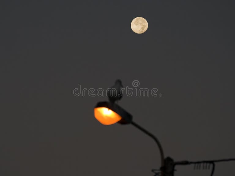 515 Moonlight Street Lamp Stock Photos - Free & Royalty-Free Stock ...