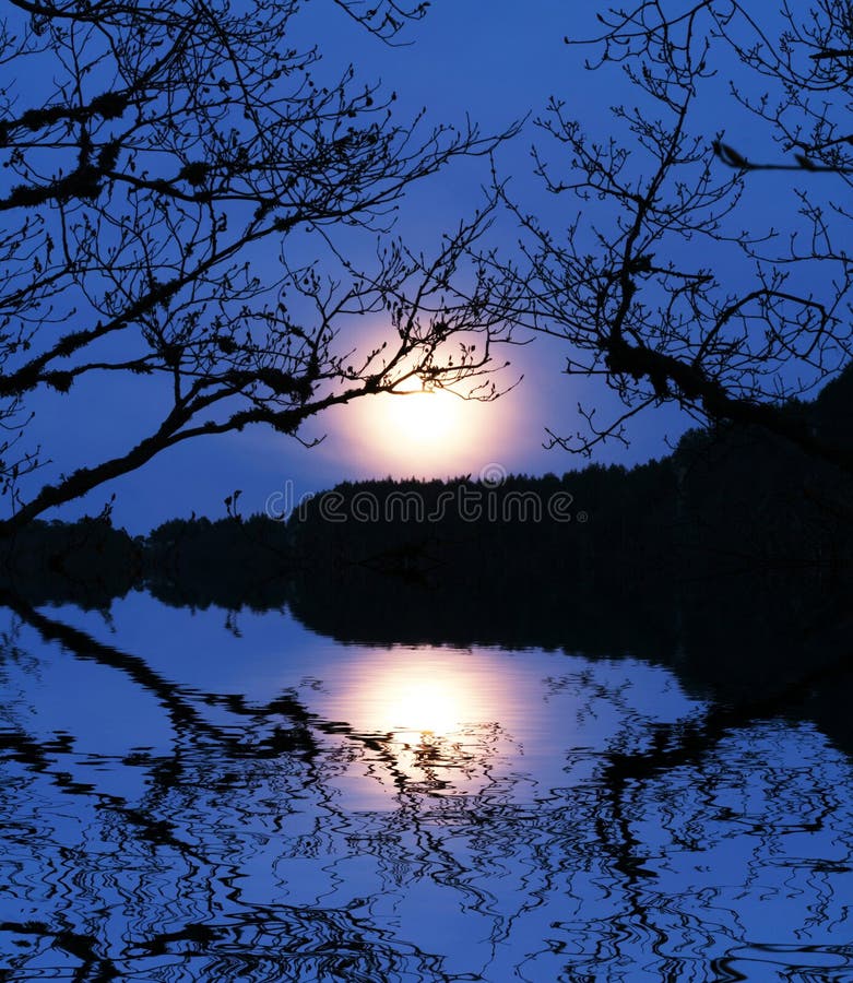 Moonlight stock photo. Image of pond, natural, romance - 54179472