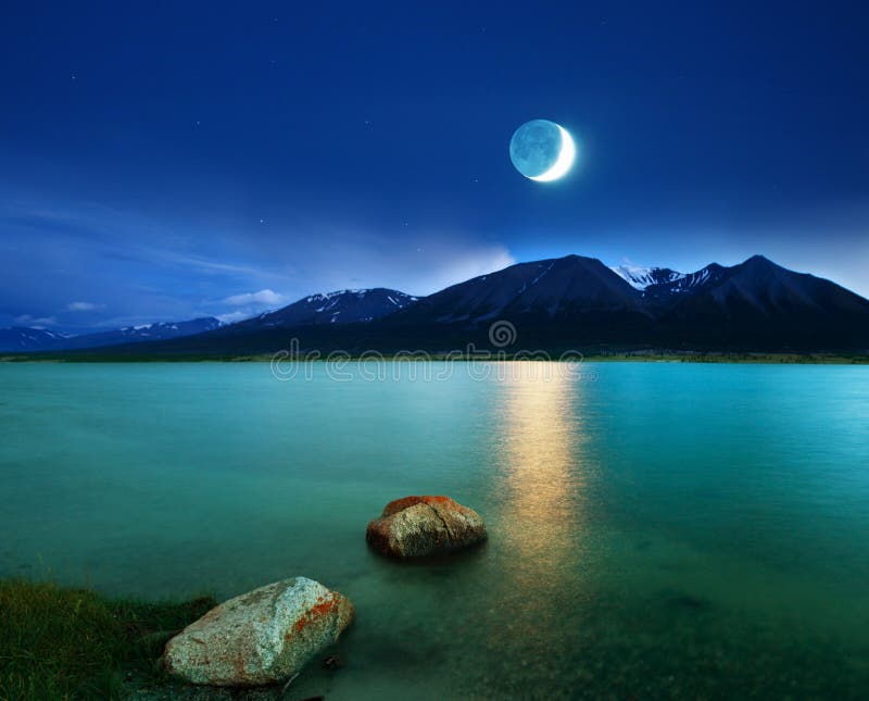 Spruce Tree on a Hillside in Springtime at Night Stock Image - Image of ...