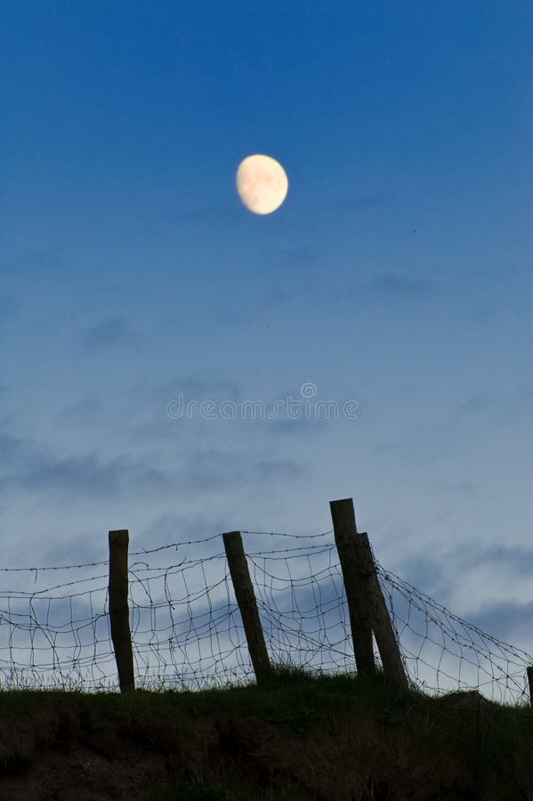Moonlight stock image. Image of moon, moonlit, blue, night - 5774515