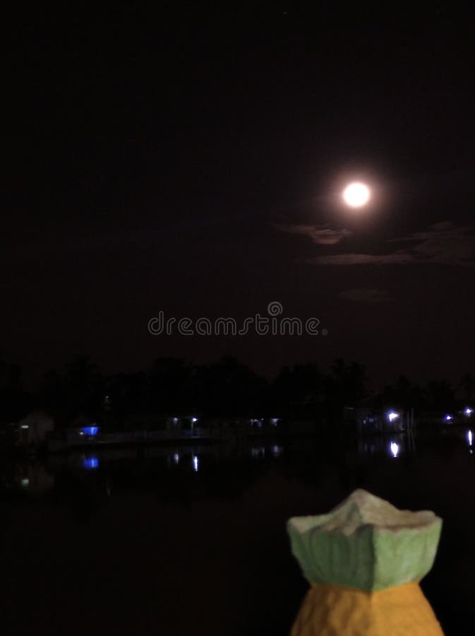 The Moonlight stock image. Image of dusk, lighting, sunlight - 263602175