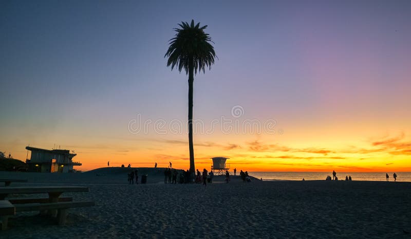 Moonlight Beach, Encinitas California. Silhouette of Palm Tree and ...