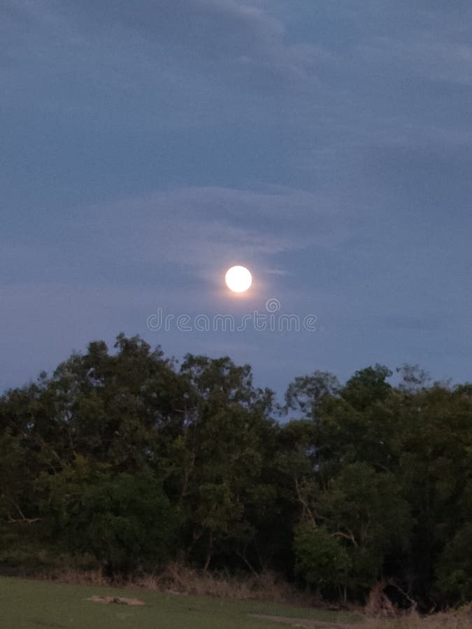 The moonlight is so bright stock image. Image of moonlight - 261791263