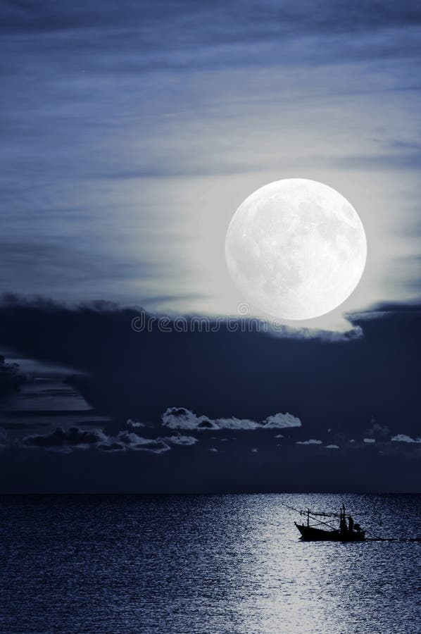 Fishing in the moonlight stock image. Image of full, moonlight - 99976919