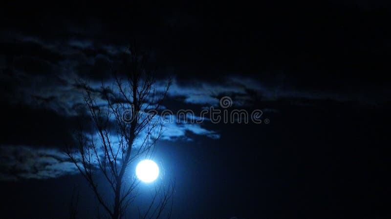 Moonlight Glow stock photo. Image of moonlight, glow - 80759744