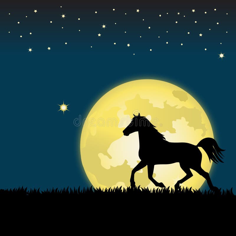 Moonlight Horse stock illustration. Illustration of stallion - 14617296