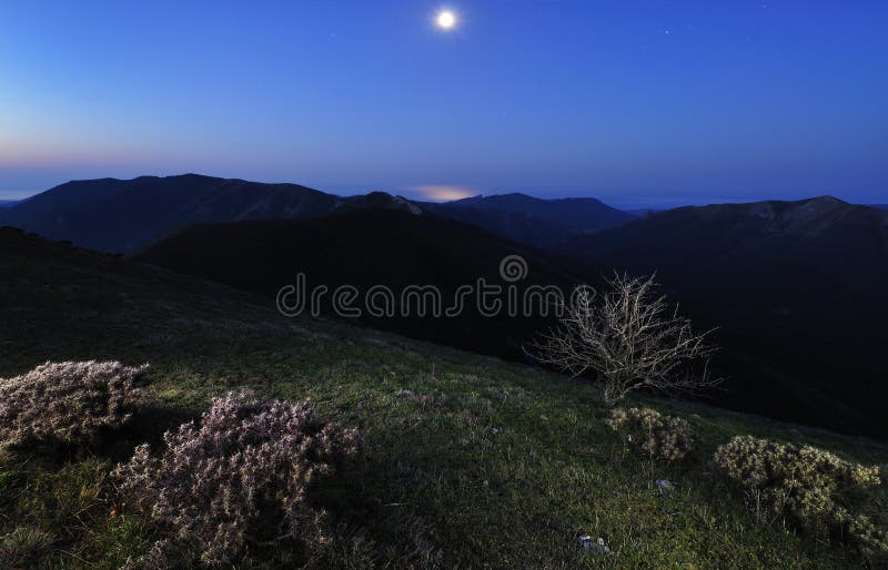 Moonlight landscape stock image. Image of season, night - 15072883