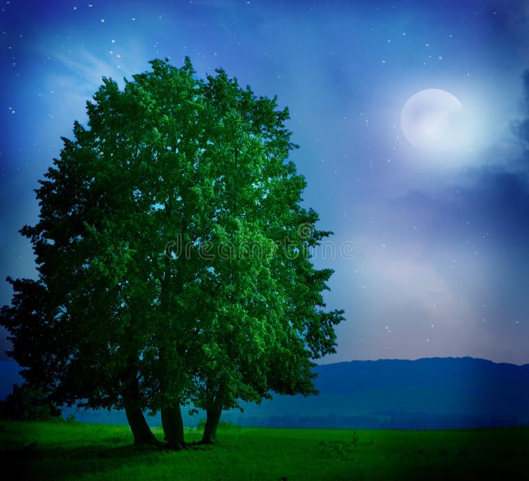 37,370 Moonlight Landscape Stock Photos - Free & Royalty-Free Stock ...