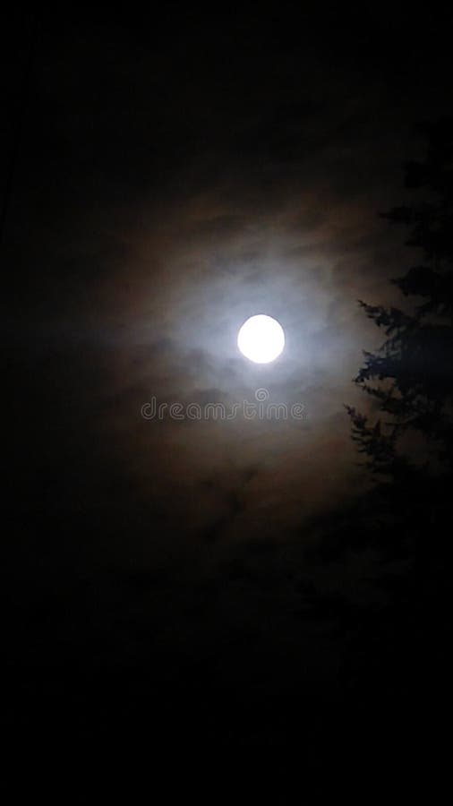 The moonlight mist stock photo. Image of warm, moon - 120749672
