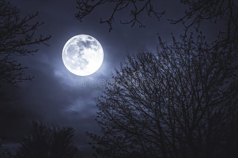 Moonlight, Moon on a Dark Night Behind Trees Stock Image - Image of ...