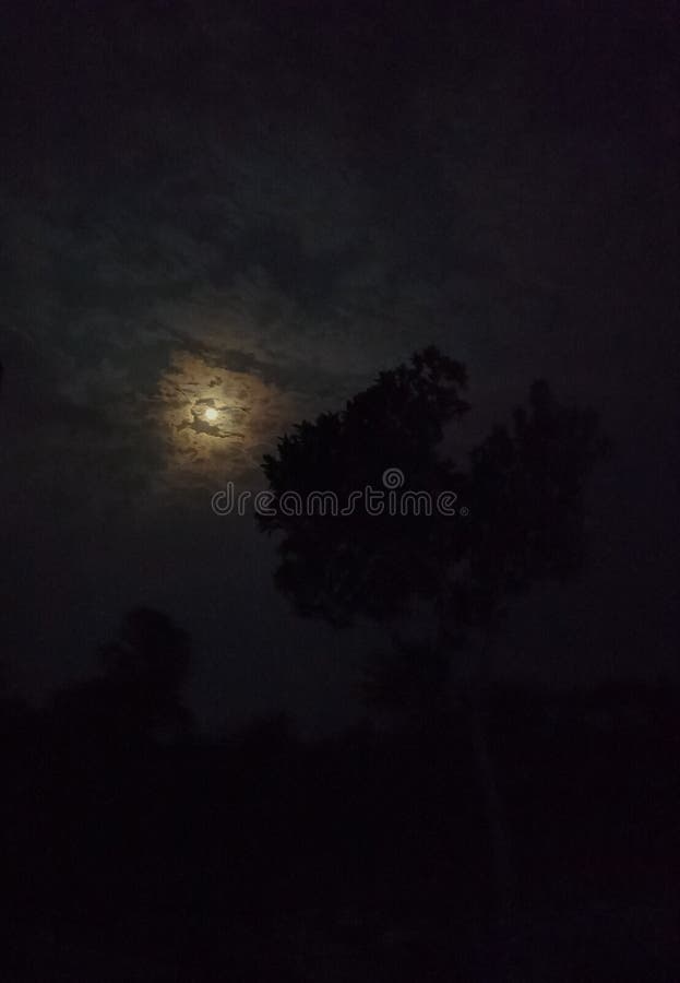 Moonlight at Night Summer Landscape,tree View in Dark Sky View in Night ...