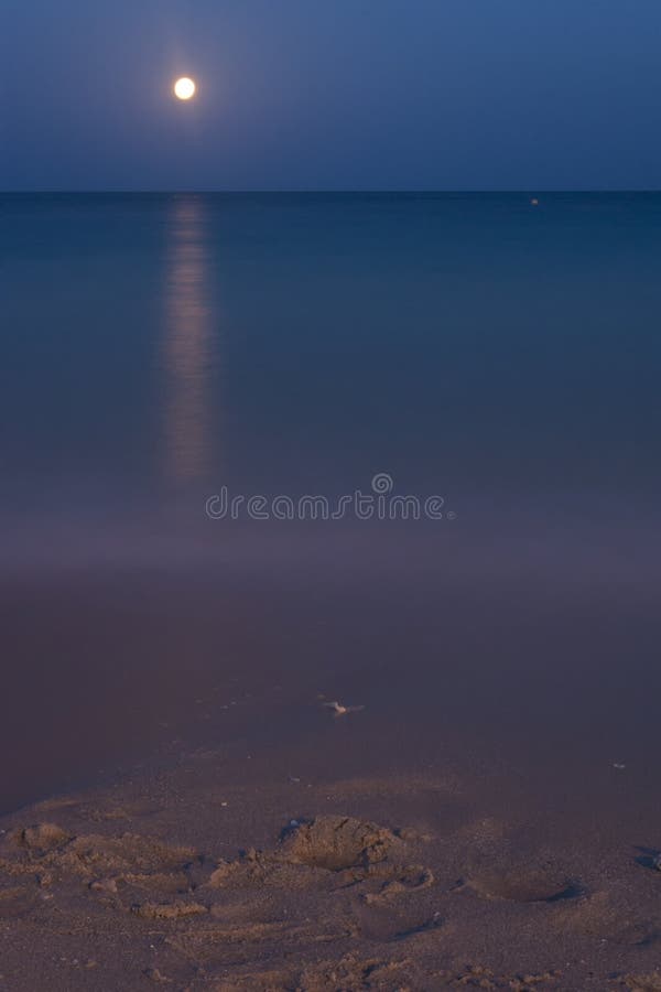 Moonlight in Ocean Beach stock photo. Image of ocean - 61965210
