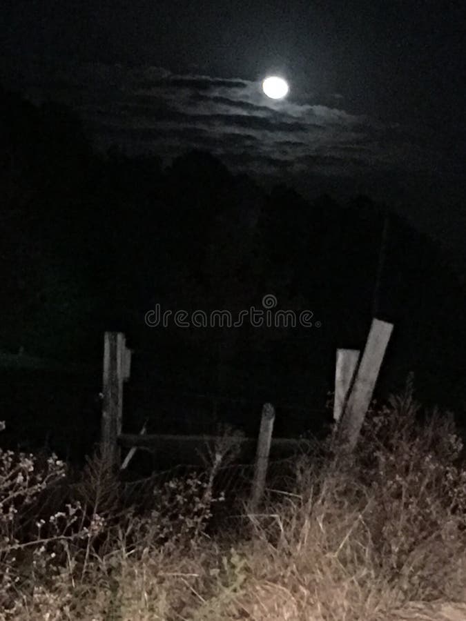 Moonlight stock image. Image of moonlight, road, night - 93569417
