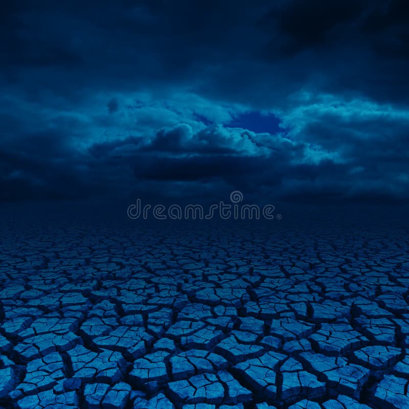 Moonlight Desert stock photo. Image of solitude, cactus - 4391894