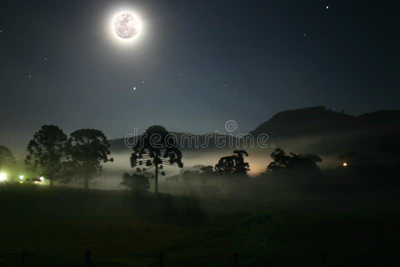 Moonlight over trees stock image. Image of night, natural - 9809937