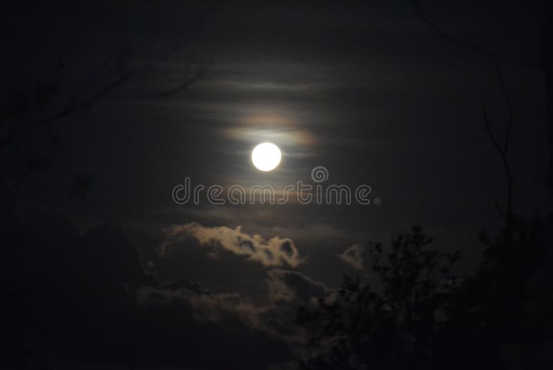 Moonlight stock photo. Image of night, darkness, mystery - 234809020