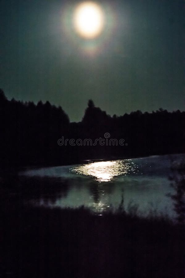 Moonlight Reflected in the Water of a Lake in the Woods. Stock Photo ...
