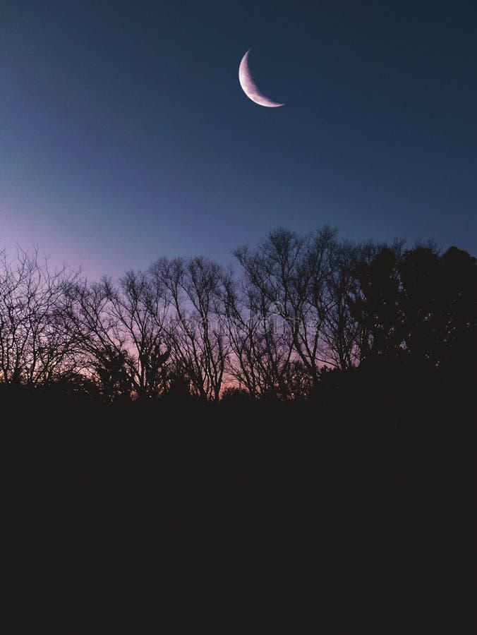 Moonlight in the shadow stock photo. Image of tree, cloud - 190538516