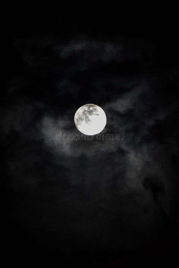 Moonlight Shines Nikon D3500 Stock Image - Image of moonlight, shines ...