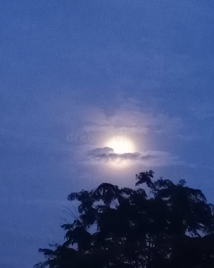 Moonlight at Summer Afternoon Stock Image - Image of afternoon, dawn ...