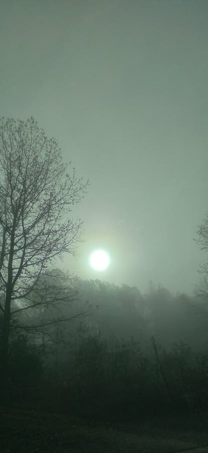 Moonlight and sunlight stock photo. Image of sunbeam - 56392398