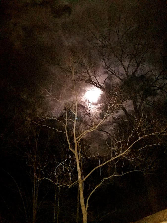Moon light sky stock image. Image of trees, moonlight - 139124461