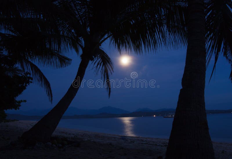 Ocean Night Moon Sky Tropical Stock Image - Image of blue, light: 35287489