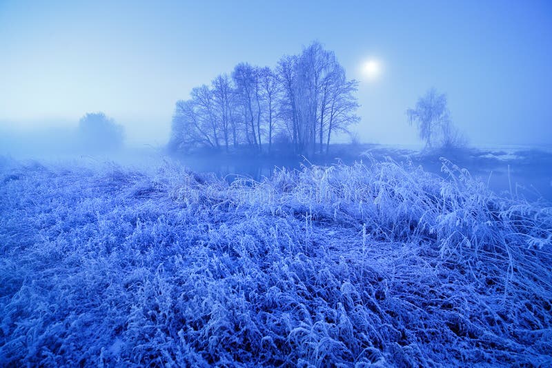 Moonlight Winter Misty Night. Snow and Frost on Grass Stock Photo ...