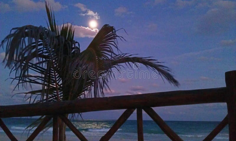 Moonlit beach by the ocean stock image. Image of wooden - 134116415