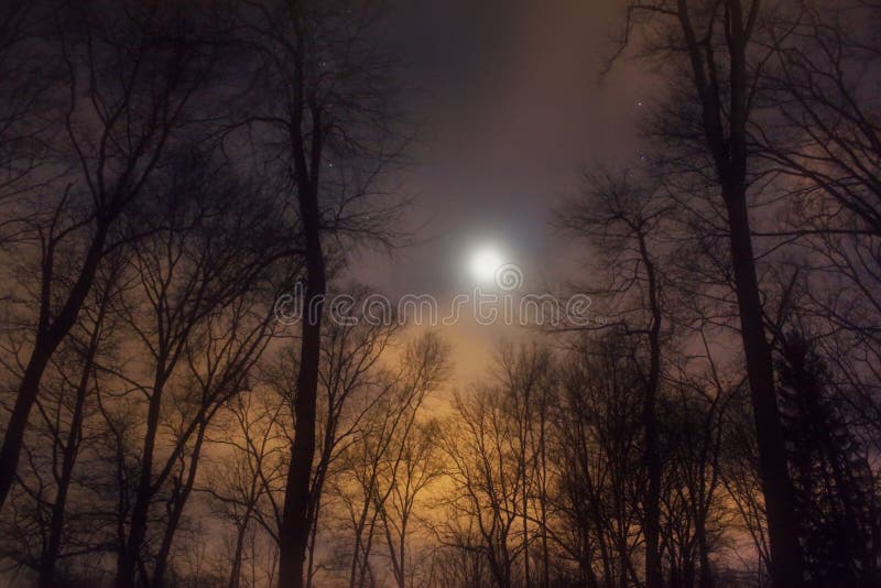 Moonlit evening sky stock photo. Image of stars, glow - 110784572