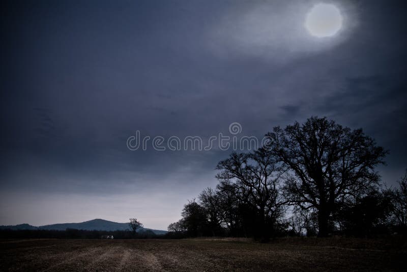 Moonlit Field stock photo. Image of moonlit, trees, silhouette - 13570124