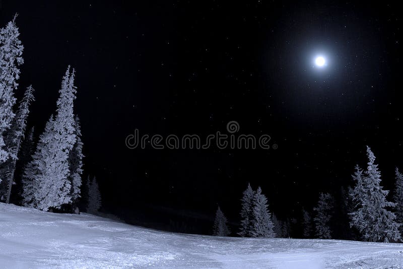 Moonlit night stock photo. Image of winter, nature, xmas - 6633658