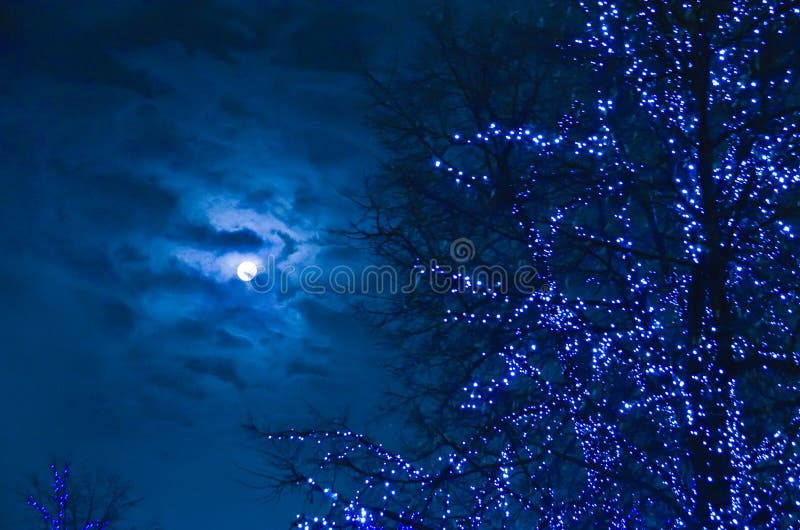 Moonlit night stock image. Image of wood, branches, lighting - 58882017