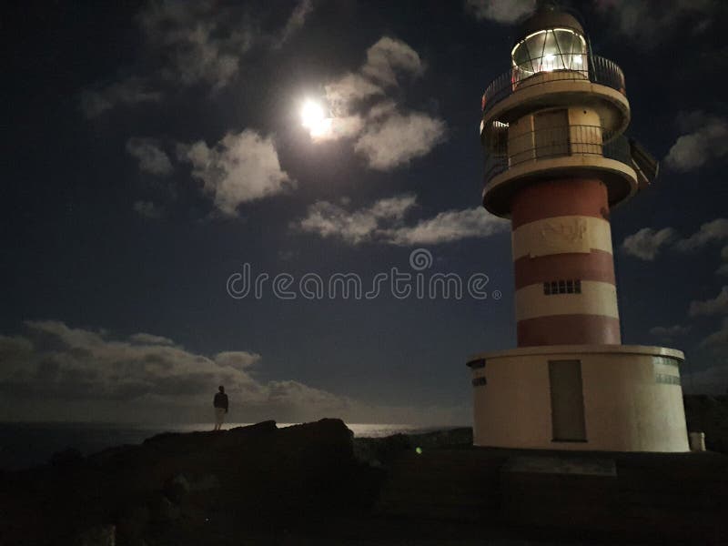 Path to the ocean stock photo. Image of cape, fynbos - 71123724