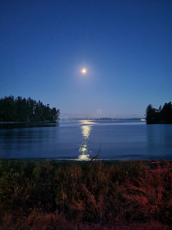 Moonlit waters of buck bay stock image. Image of evening - 287704409