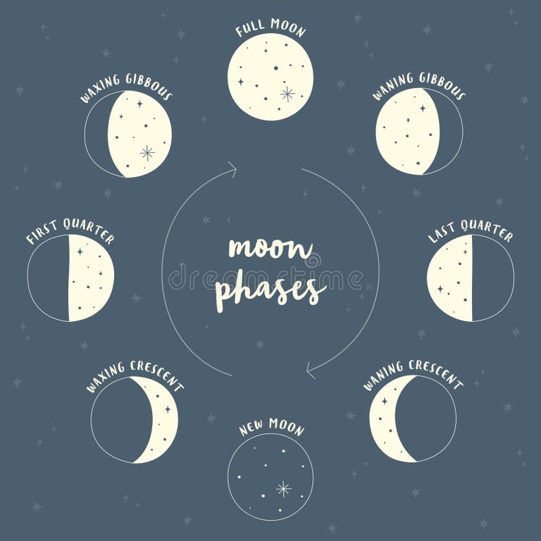 Moonphases_text stock vector. Illustration of shiny - 277969133