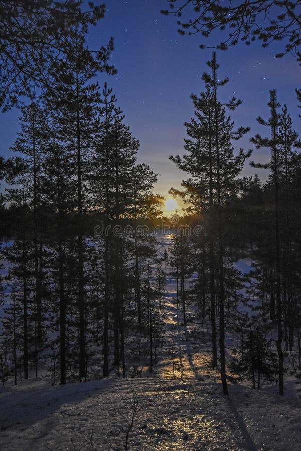 Forest Moonrise Reflection stock image. Image of pink - 3753983