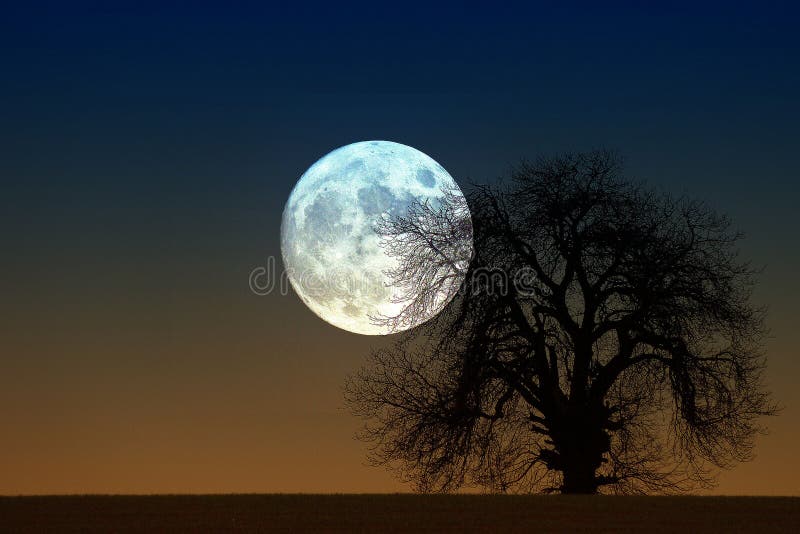 Moonrise stock photo. Image of rutting, nottinghamshire - 48471466