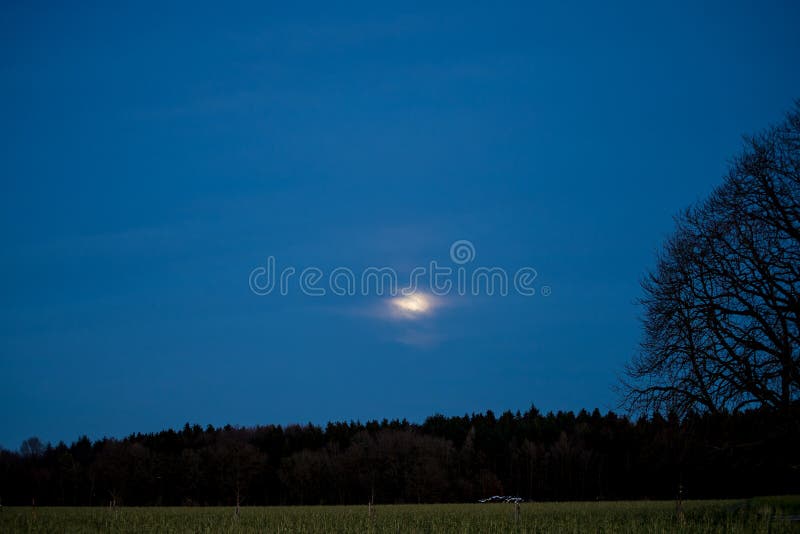 Moonrise over the forest stock photo. Image of forest - 107002646