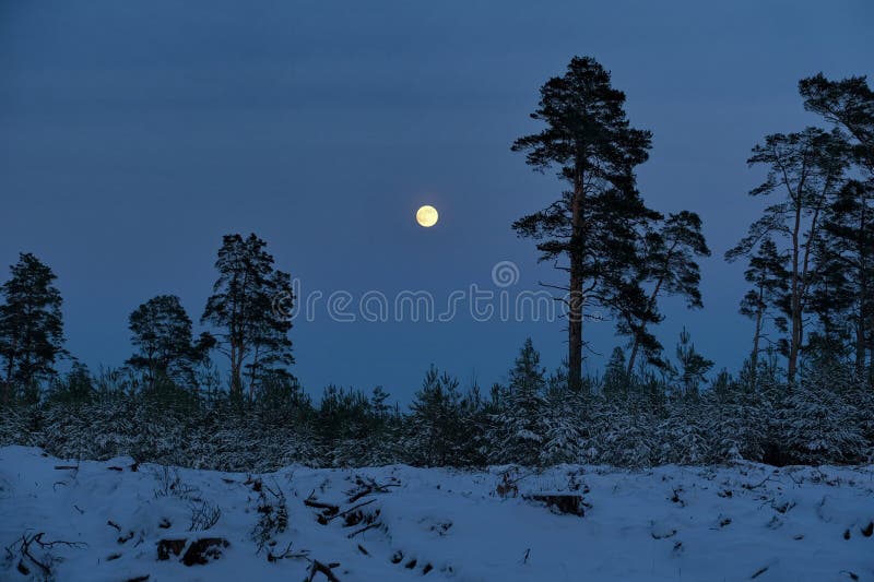 Moonset and Stars Observingn in Latvia Stock Image - Image of moonlight ...