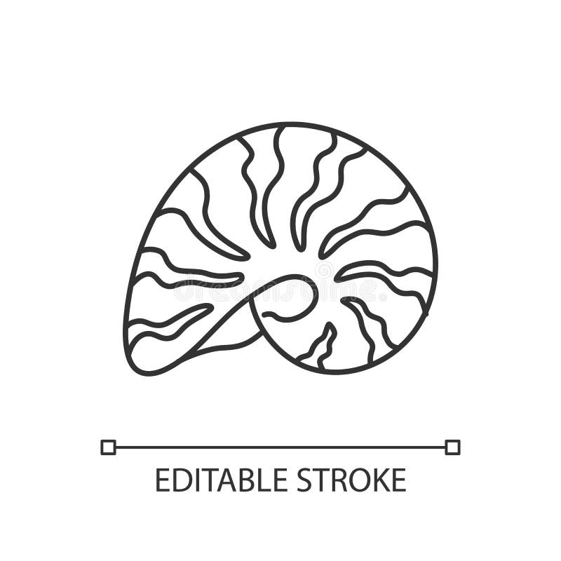 Moonshell Stock Illustrations – 25 Moonshell Stock Illustrations ...